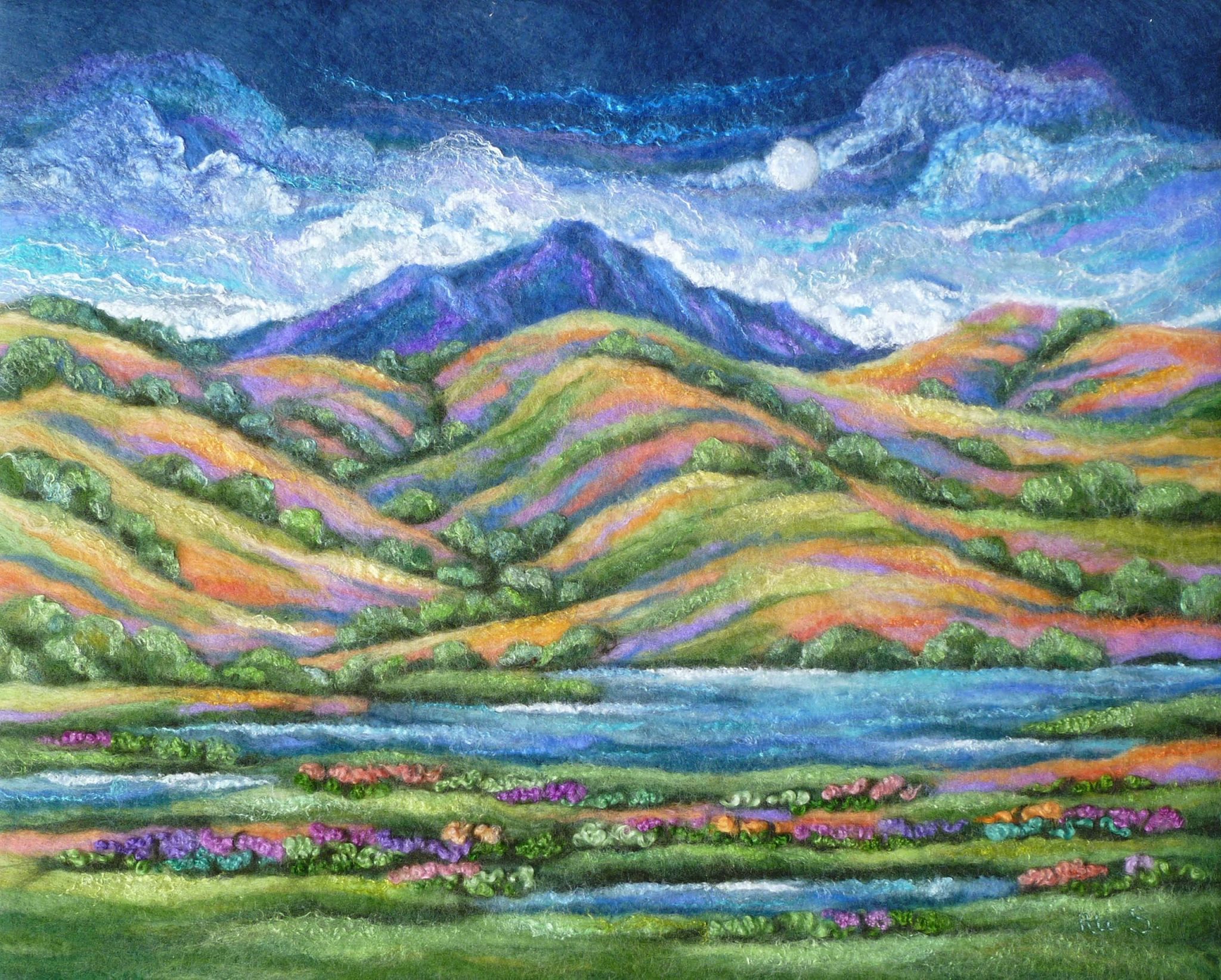 Gallery – Ali Scott | Felt Artist
